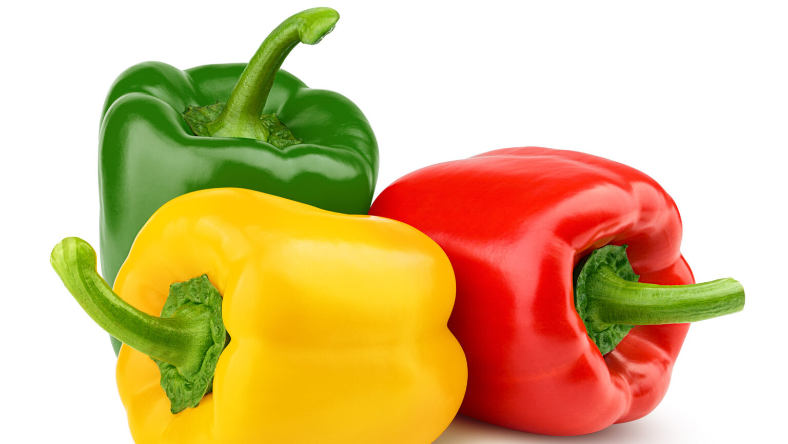 Fresh Vegetables – Bvba Dyck Trading Company
